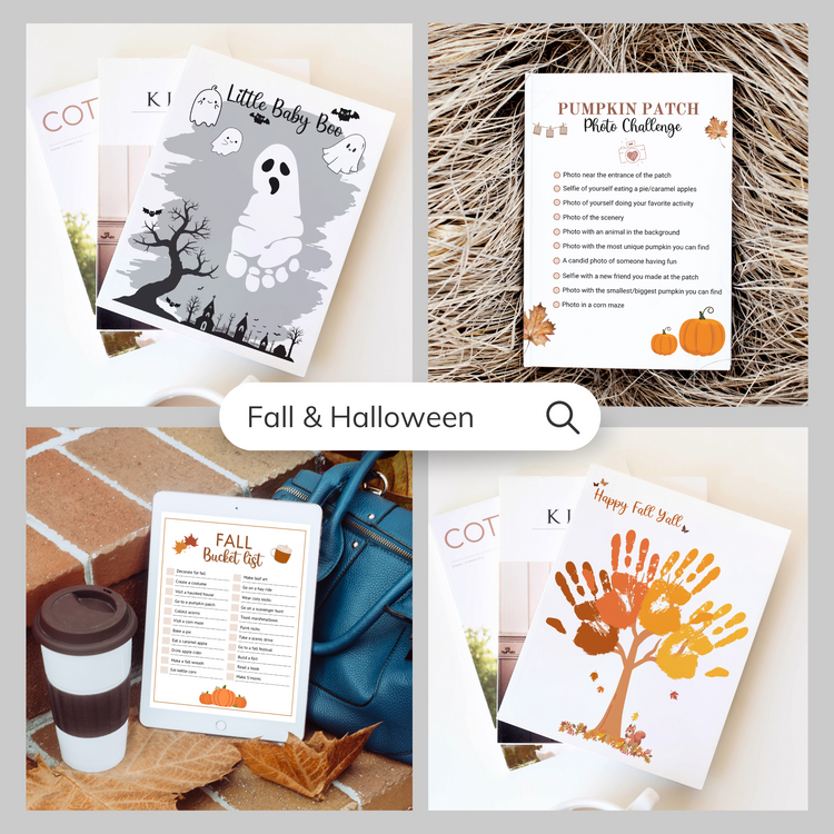 Collections – Scribbled LLC