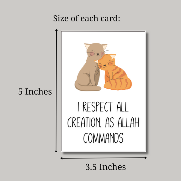 Islamic Affirmations for Kids Printable Cards, Daily Positive Muslim R ...