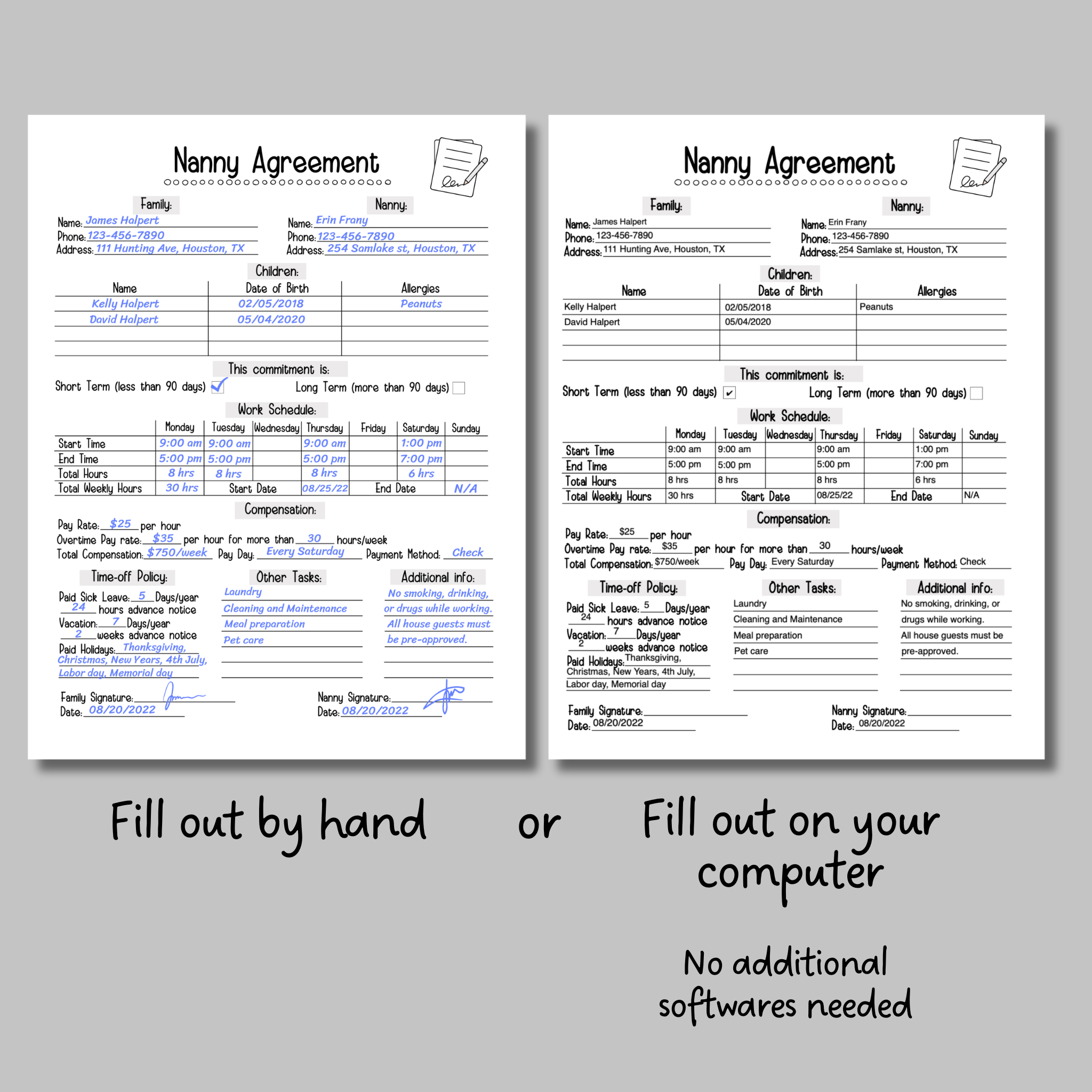 Nanny Agreement Worksheet Editable, Printable Babysitter Contract ...